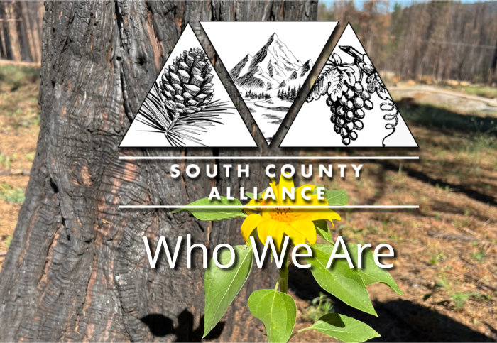 Who We Are - South County Alliance
